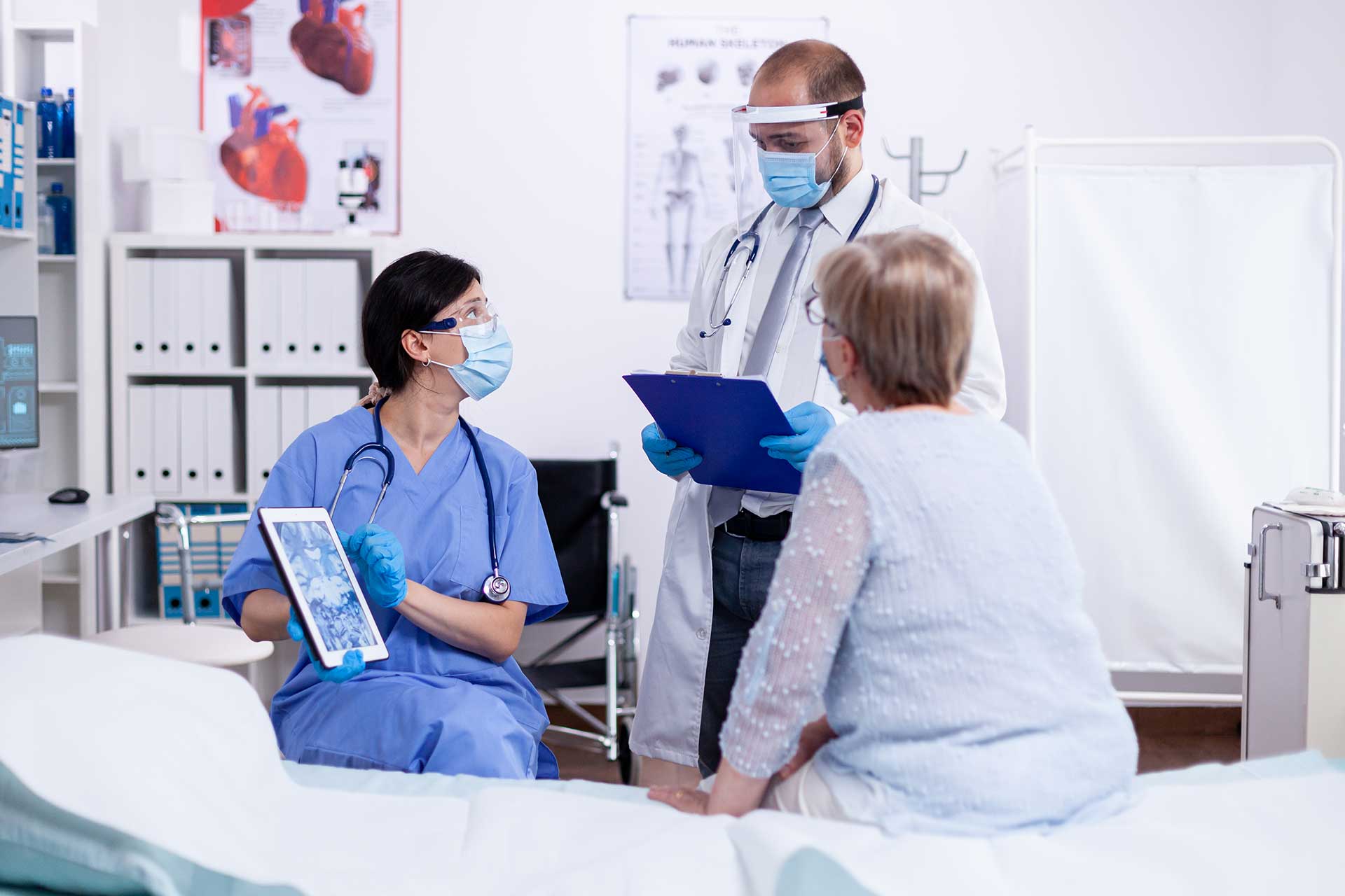 Service Details - Promed Medical Supplies & Equipment Import & Distributor